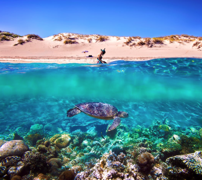 Exmouth - Ningaloo Blue Dive